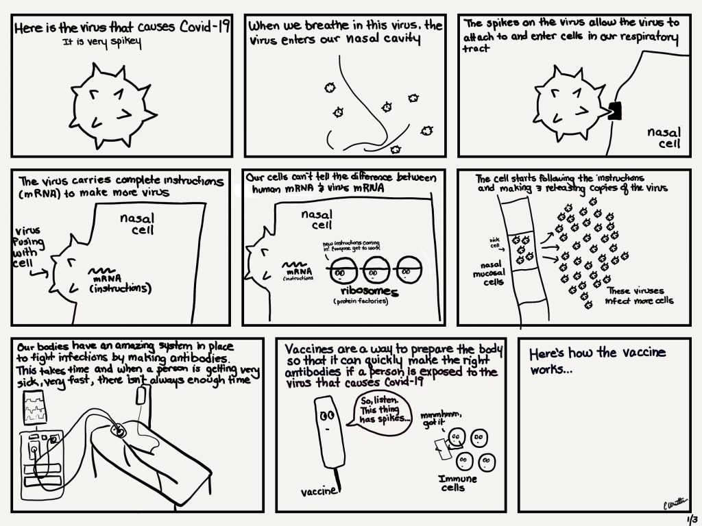 Cartoons that explain how the COVID vaccines work