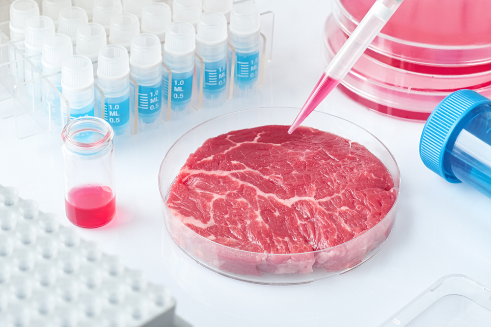 Why lab-grown meat matters: USDA approval and environmental impact