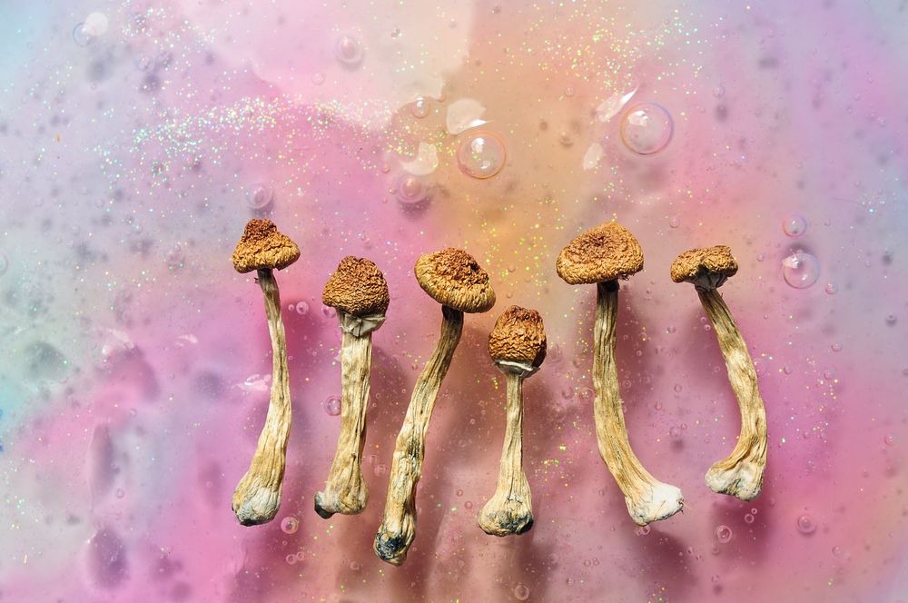 Are doctors ready to discuss psychedelic therapies with patients?