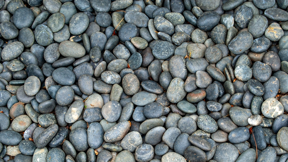 The pebble versus the rock: a case for mental health reform