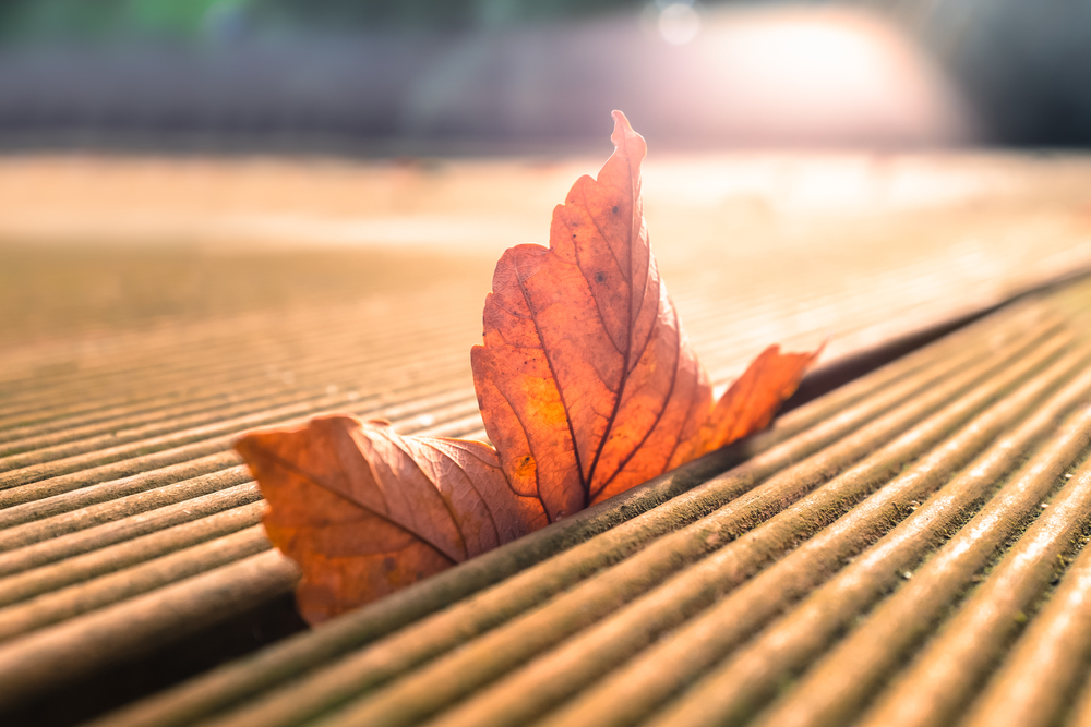 How to prevent patients from falling through the cracks